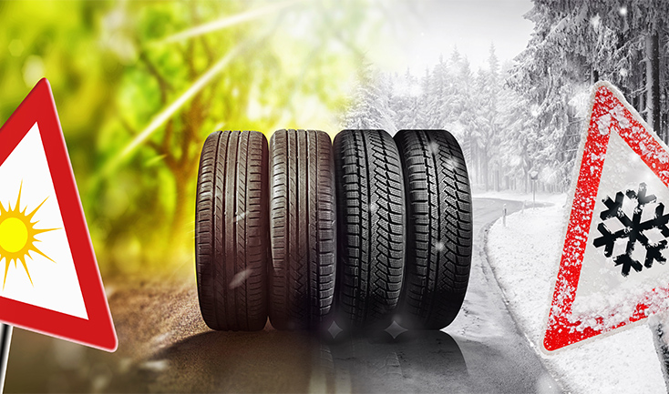 GOODYEAR 195/55 R20 Vector 4 Seasons G2 95H XL - Internet Prodaja Guma